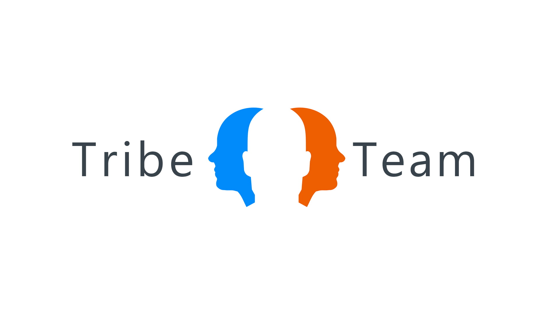 Cursos - Tribe Team